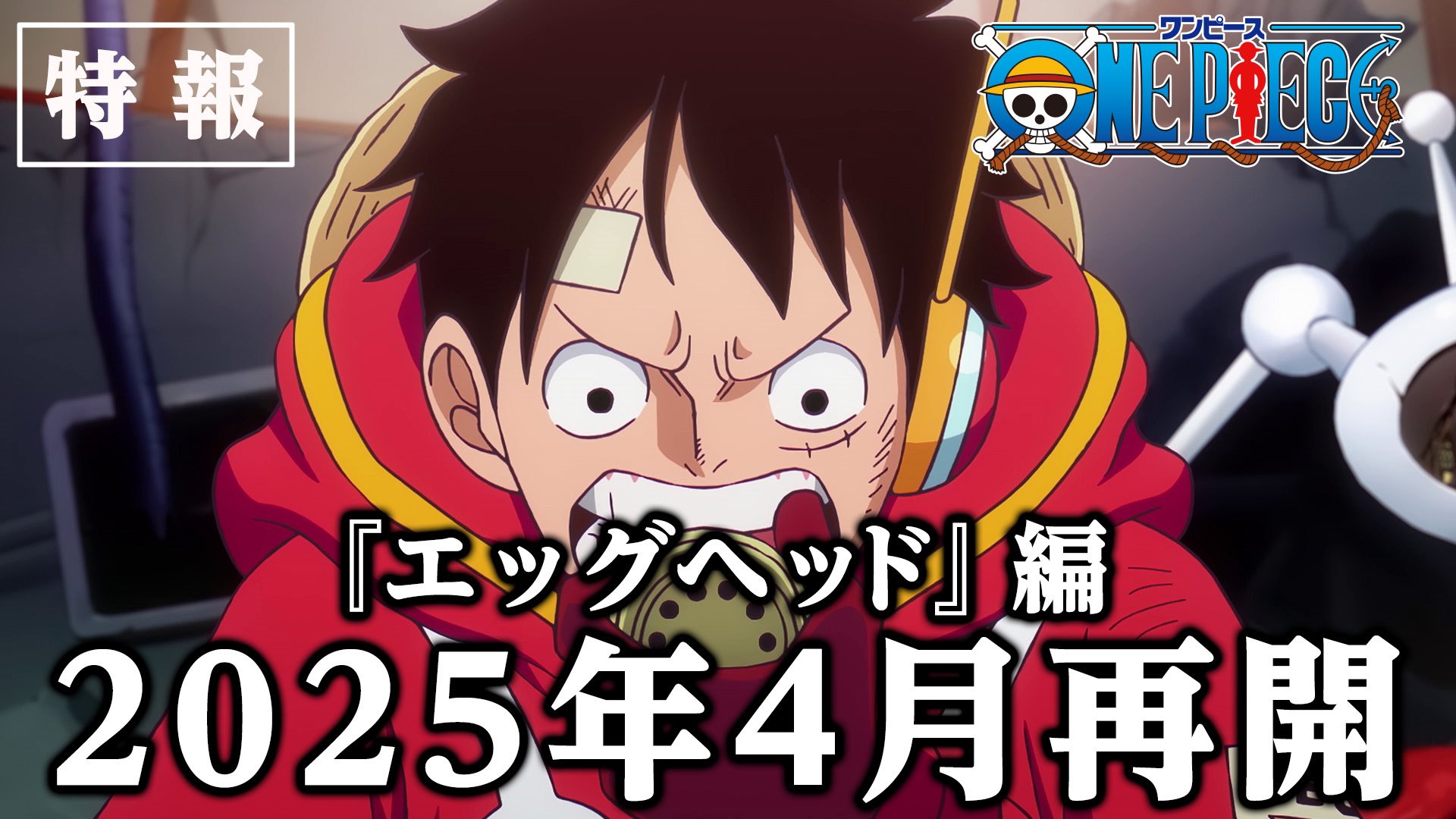 【漫画・アニメ】アニメ『ONE PIECE』が充電期間に！2025年4月から「エッグヘッド編」再開！放送枠も変更に！